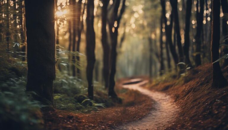 Viaje En La Filosofía De Ernst Cassirer: ¿De Qué Se Trata? - Biografista